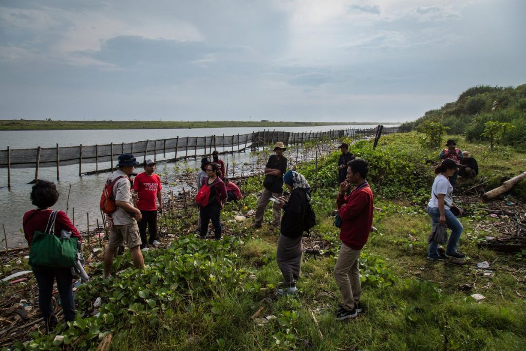 Baros Mangrove Plantation : The New Exciting Ecotourism - Yogyakarta ...