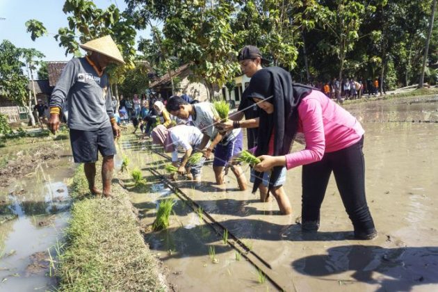 Dekso Banjararum Tourism Village - Yogyakarta Tourism Portal