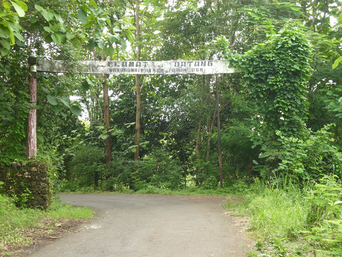 Hutan Wanagama Gunungkidul - Dinas Pariwisata Daerah Istimewa Yogyakarta