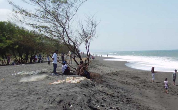 Pantai Pandansimo Baru - Dinas Pariwisata Daerah Istimewa Yogyakarta