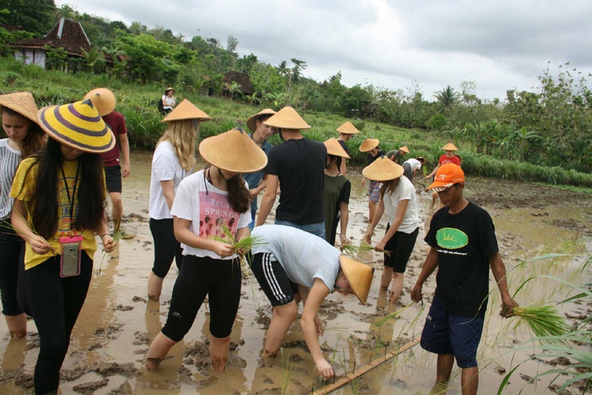Desa Wisata Jelok " Dewi Elok " - Dinas Pariwisata Daerah Istimewa ...