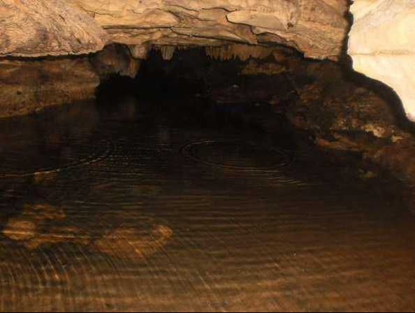 Desa Wisata Jelok " Dewi Elok " - Dinas Pariwisata Daerah Istimewa ...